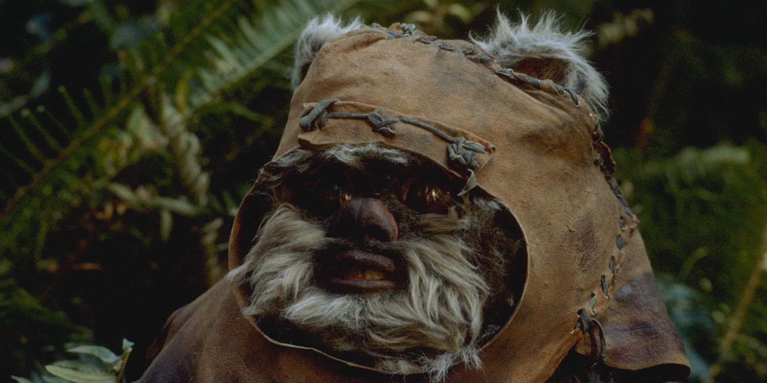 So, Ewoks? : r/saltierthancrait