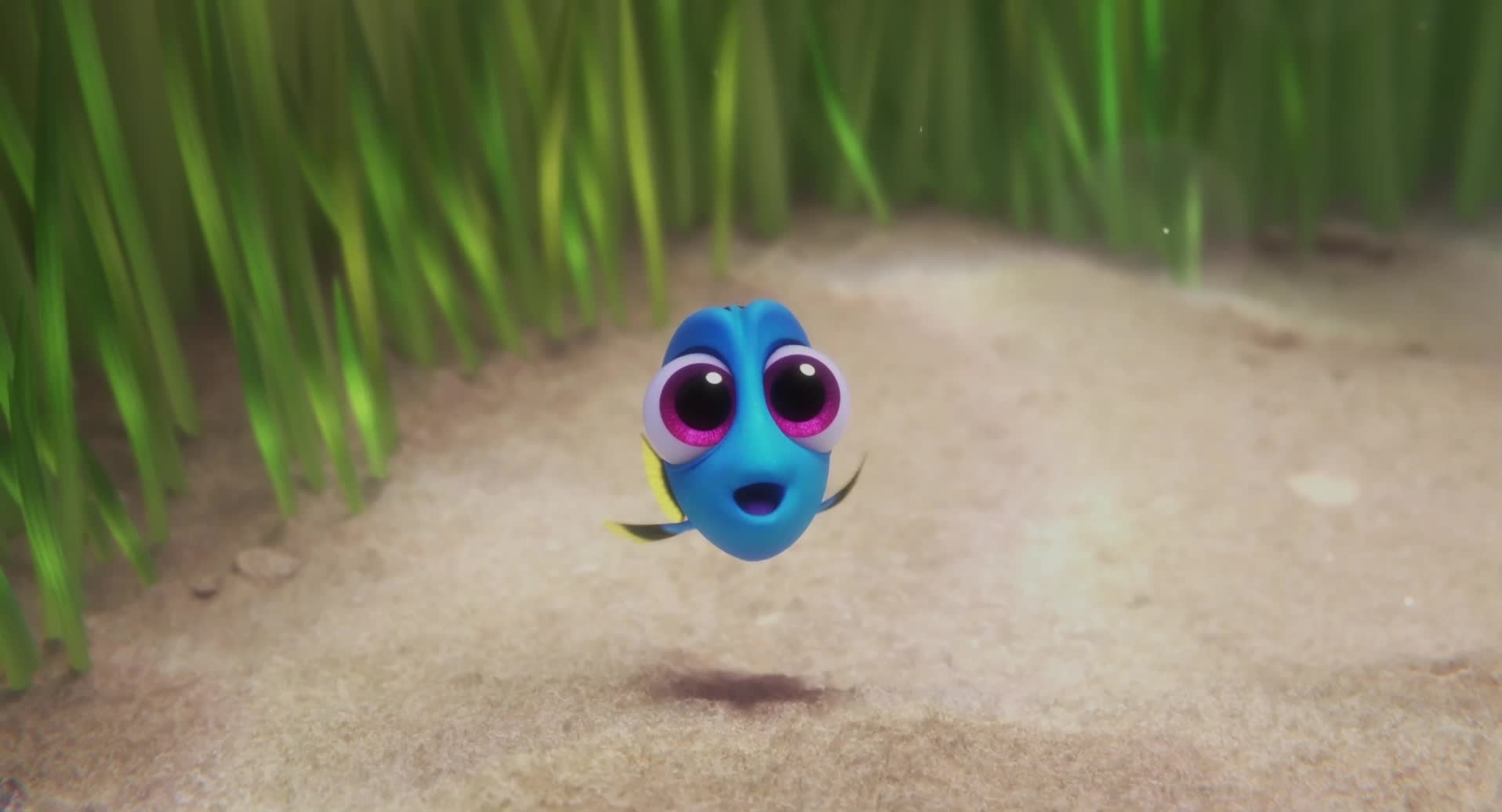 Finding Dory (2016) Film - Officiële Belgische Disney Pixar-site