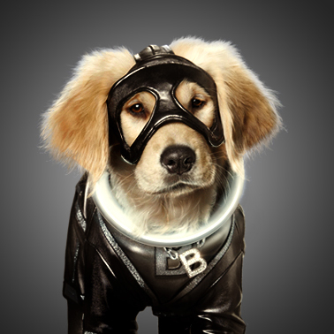 Rosebud | Characters | Disney Buddies