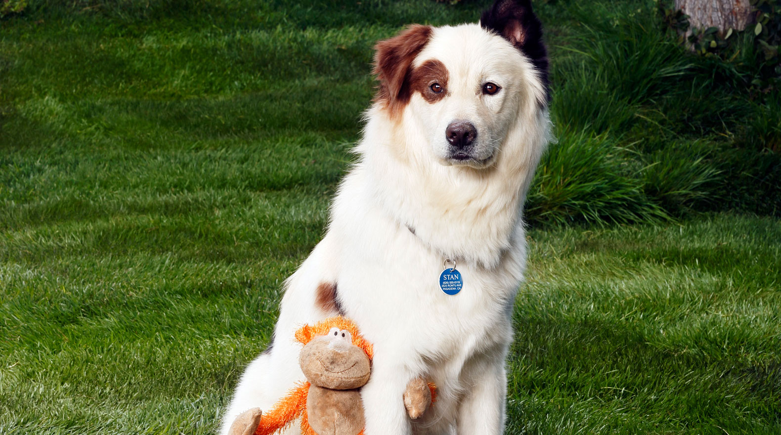 Dog With A Blog Gallery | Disney Australia Disney Channel